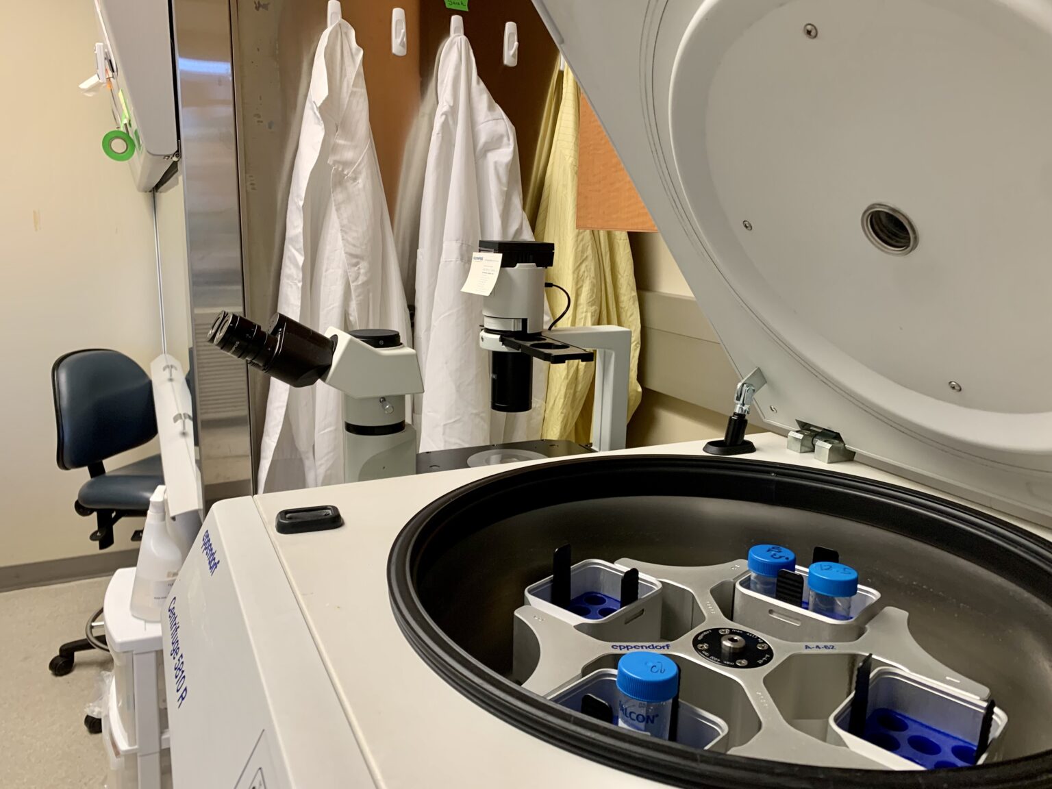 What Is DADA2? | The DADA2 Foundation