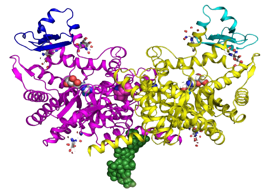 What Is DADA2? | The DADA2 Foundation